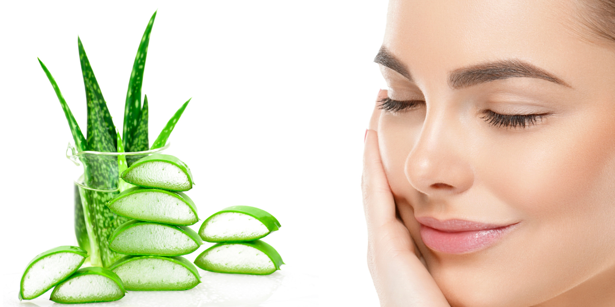 The benefits of aloe vera for your skin | Potion Organic